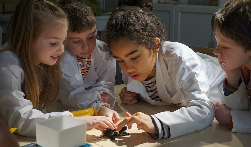Großer Tag für Sea Life-Botschafter: Sie helfen beim Einzug von 15 ...