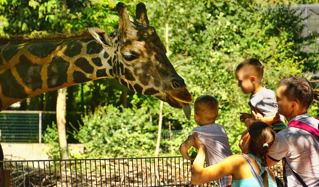 Zoo-Ranking 2025: Vogelpark Marlow, Naturschutz-Tierpark Görlitz und ...